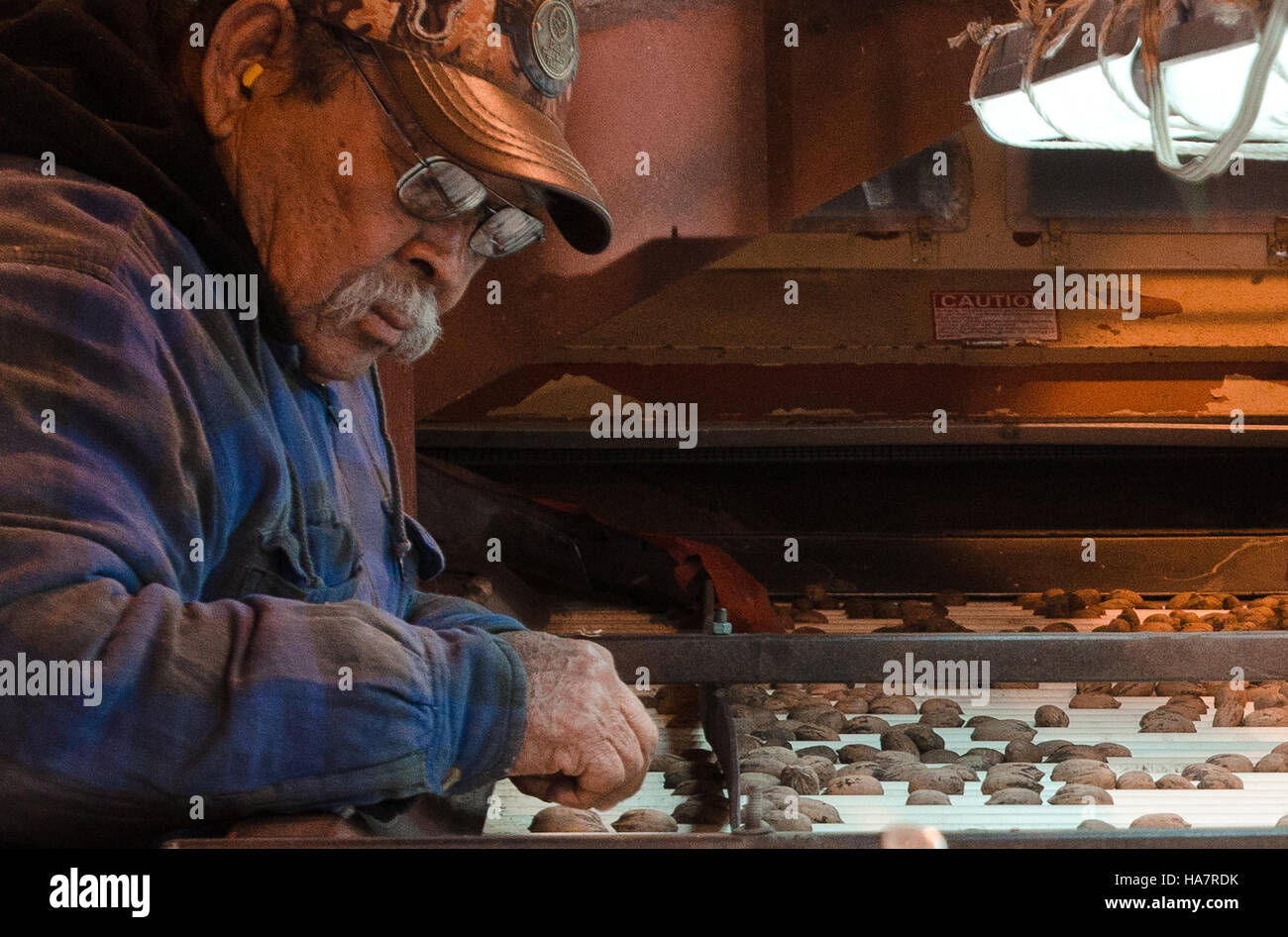 Arrowhead Farms in Crystal City uses automated drip irrigation systems ...