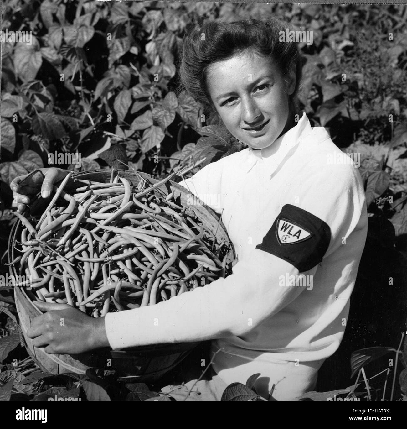 This image showcases a project from the U.S. Department of Agriculture ...