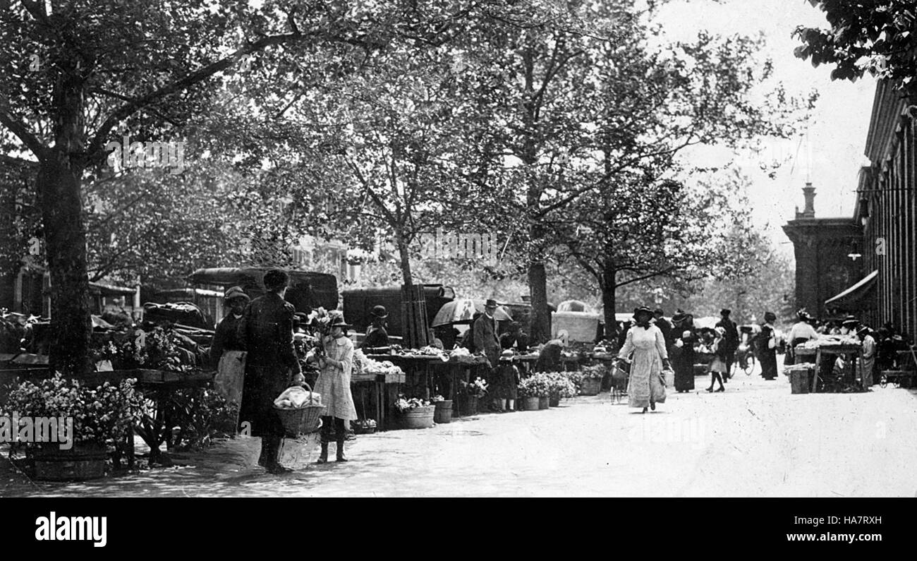 This image features a USDA initiative focused on environmental science ...