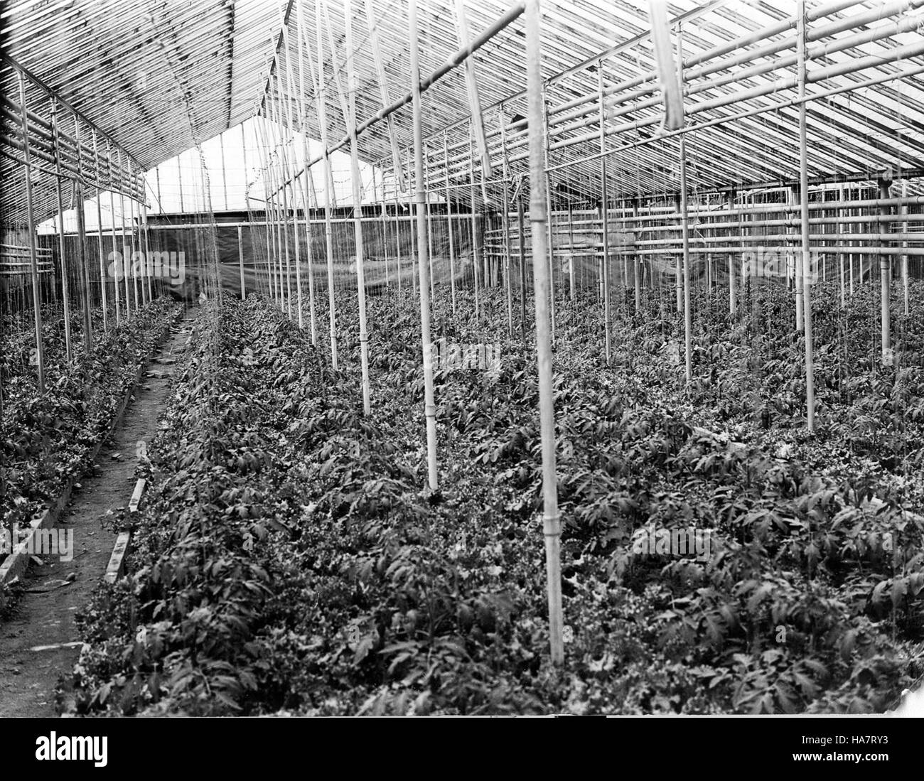 This USDA initiative focuses on addressing the intersection of ...