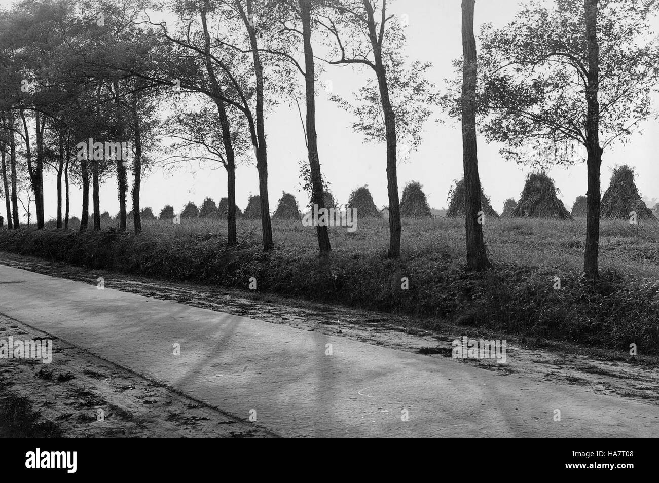 Safety assistance systems Black and White Stock Photos & Images - Alamy