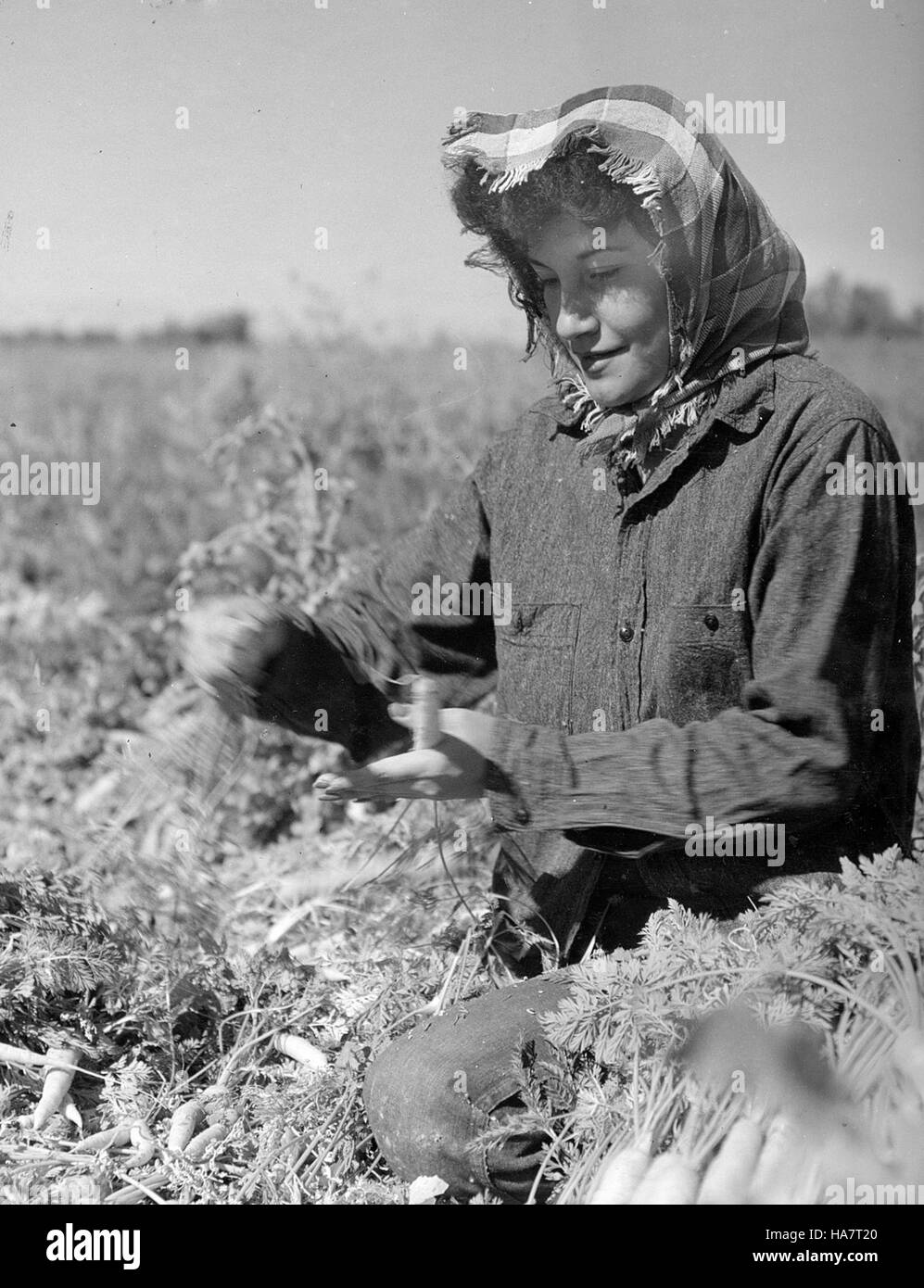 A USDA initiative promoting sustainable farming practices and food ...