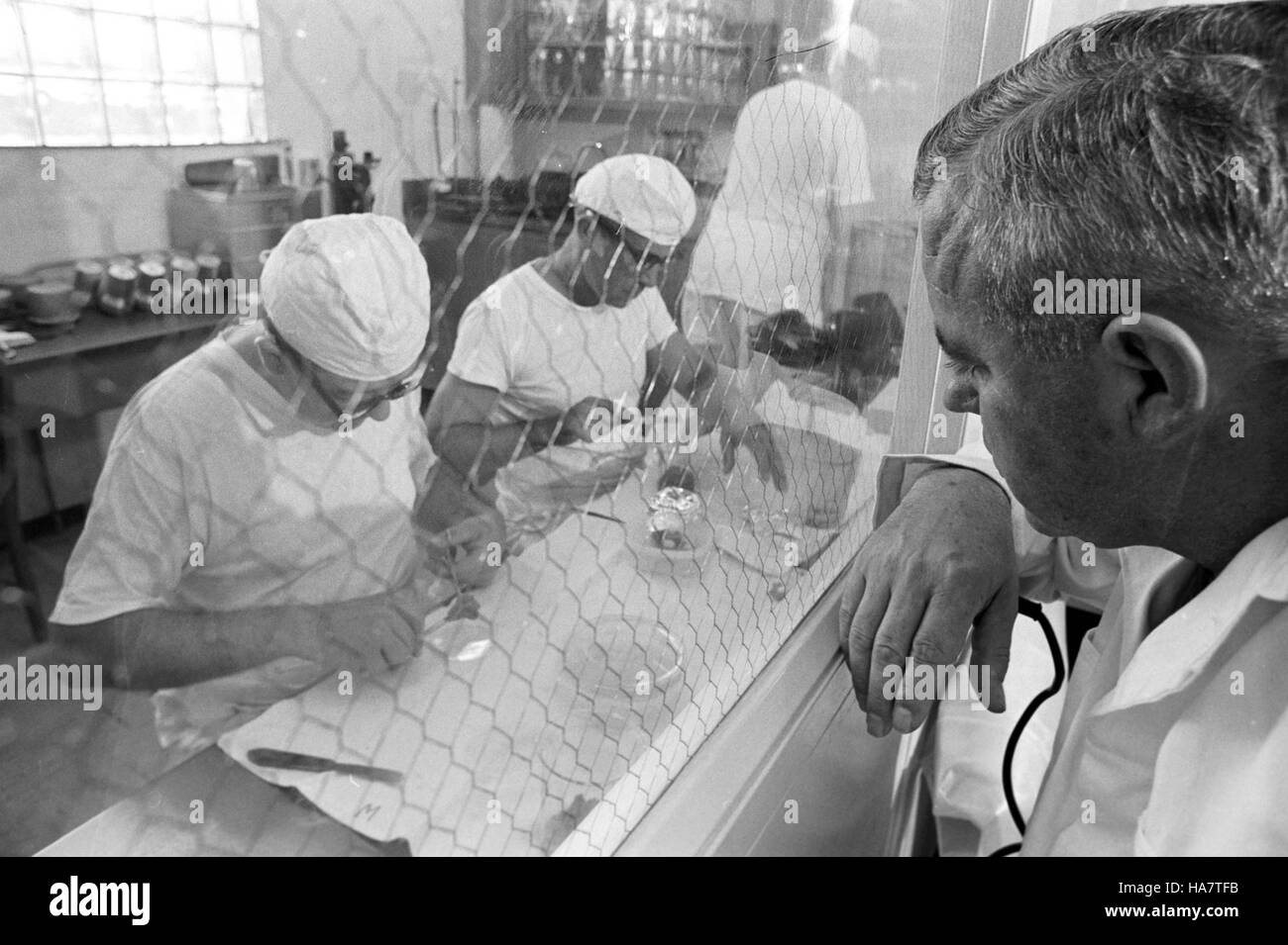 The USDA marks its 150th anniversary, reflecting on its significant ...