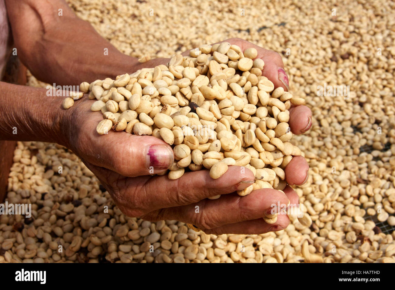 The Nile Sprague project, supported by the USDA, focuses on sustainable ...