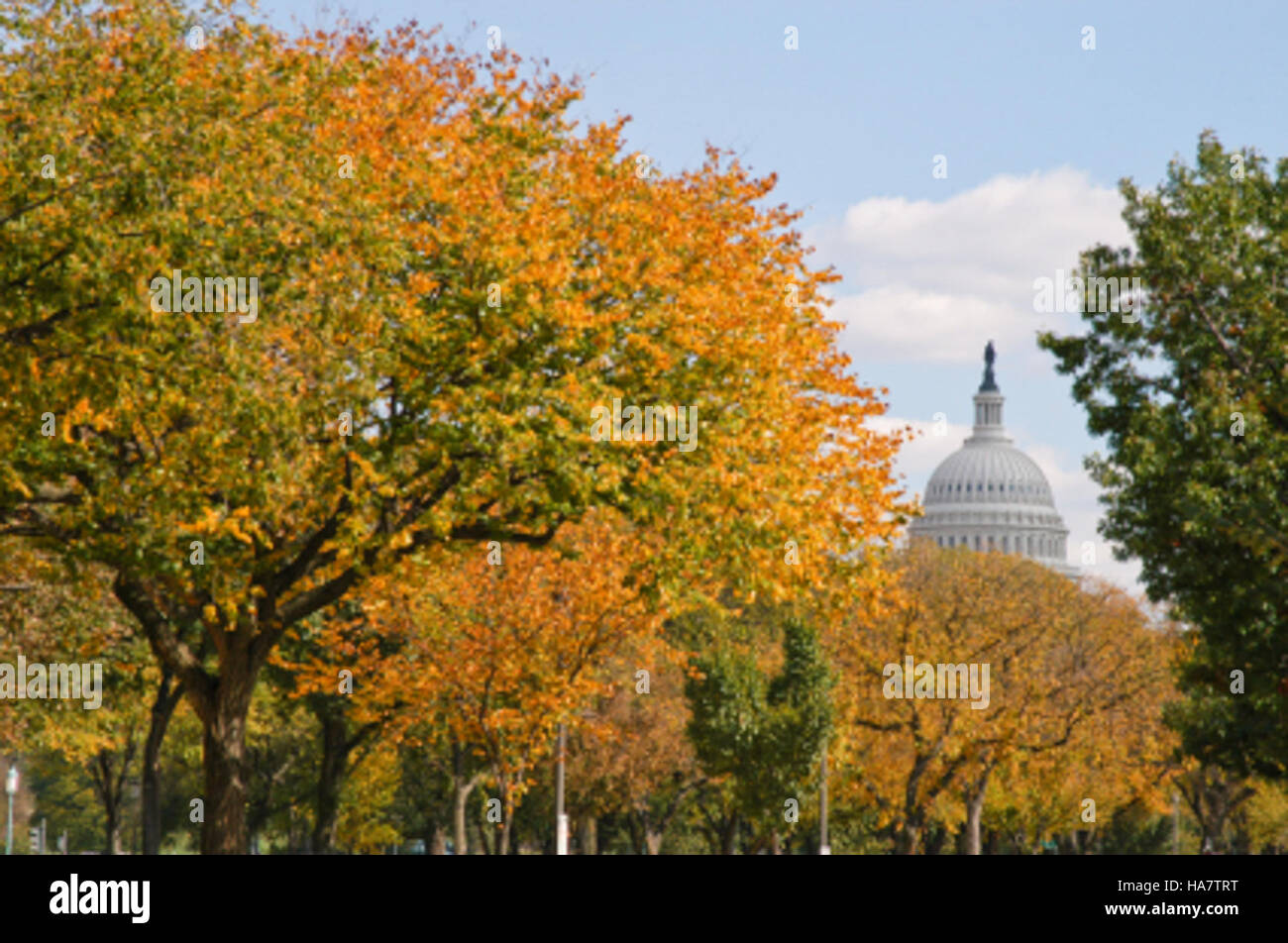 The U.S. Capitol, located in Washington, D.C., is seen surrounded by ...