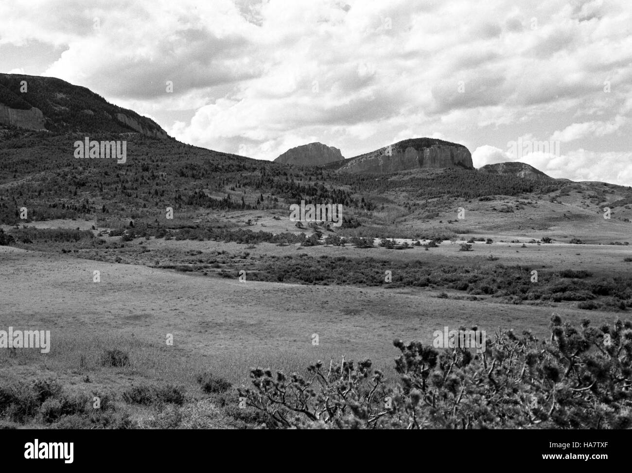 The USDA celebrates its 150th anniversary, reflecting on its history ...