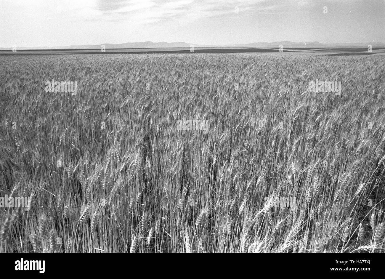 U s rural areas Black and White Stock Photos & Images - Alamy