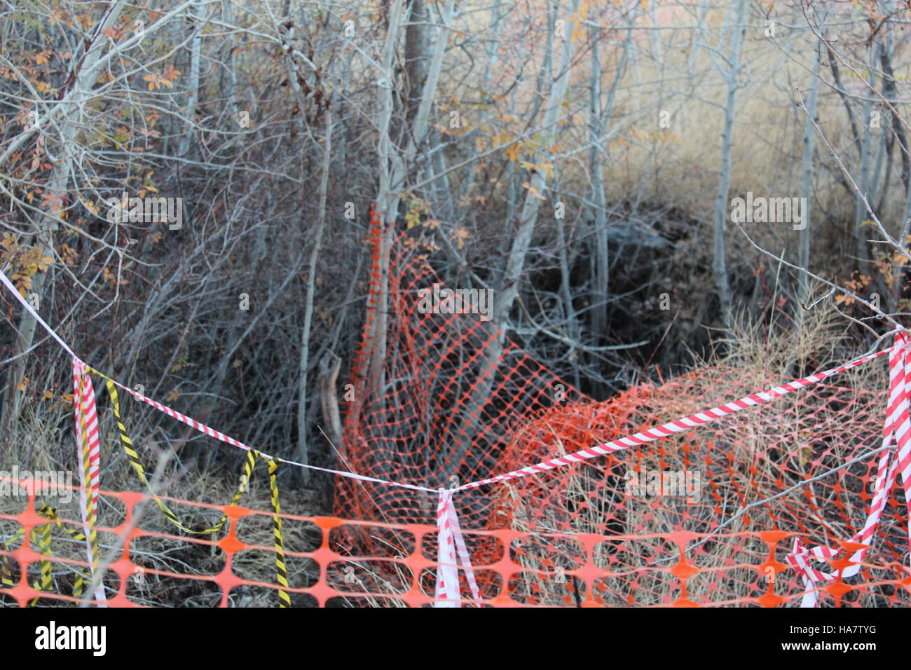 The Bureau of Land Management (BLM) is responsible for maintaining ...