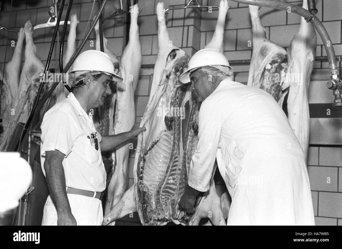 The USDA celebrated its 150th anniversary in 2012, marking a ...