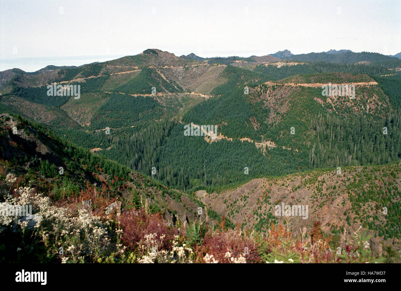 The USDA marks its 150th anniversary by reflecting on its history and ...