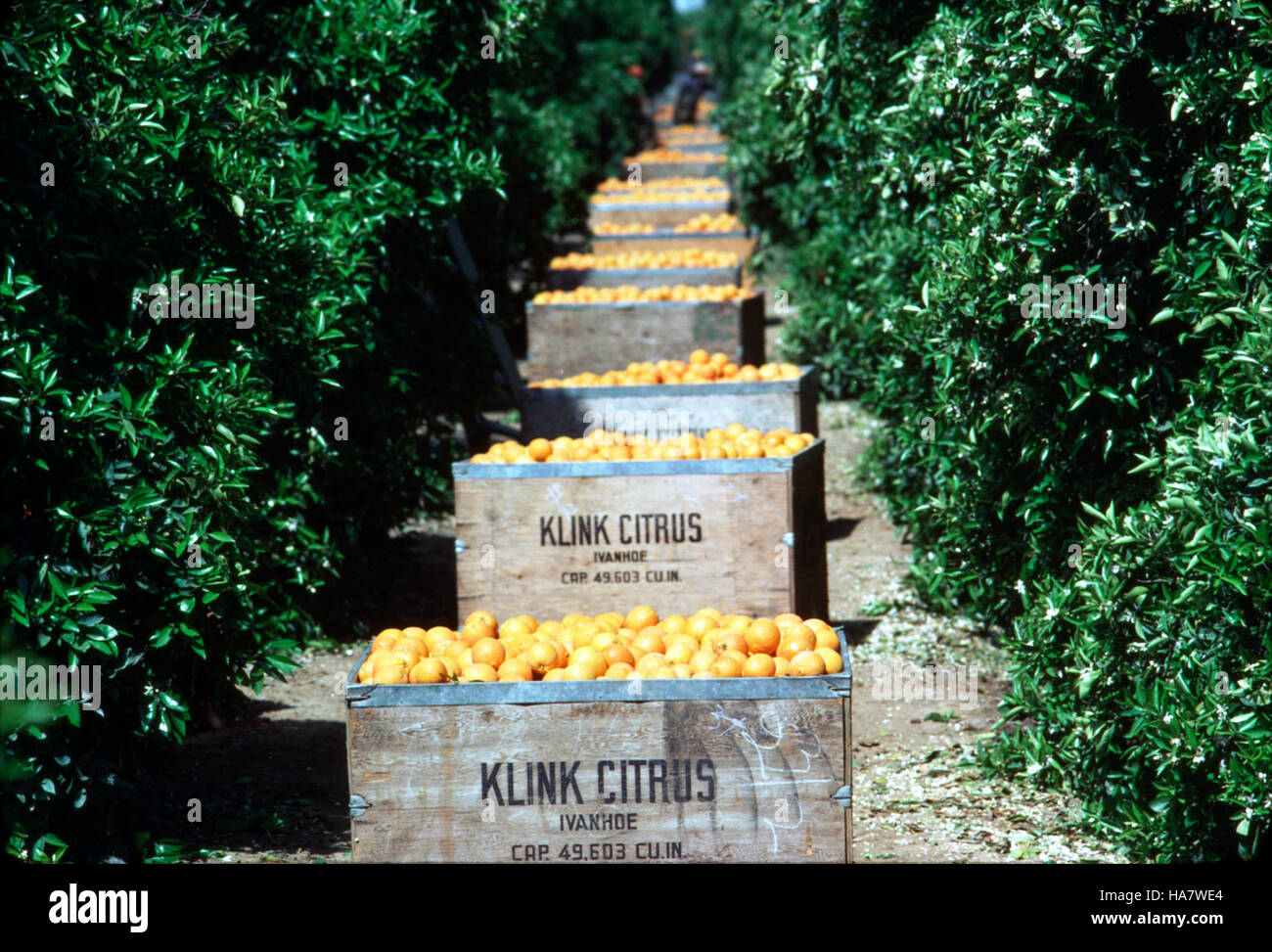 This image celebrates the 150th anniversary of the United States ...