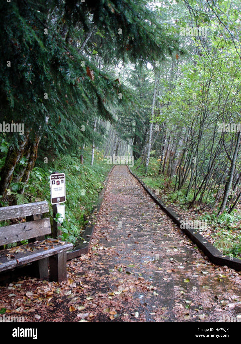 The Iron Goat Trail offers a unique historical and ecological ...