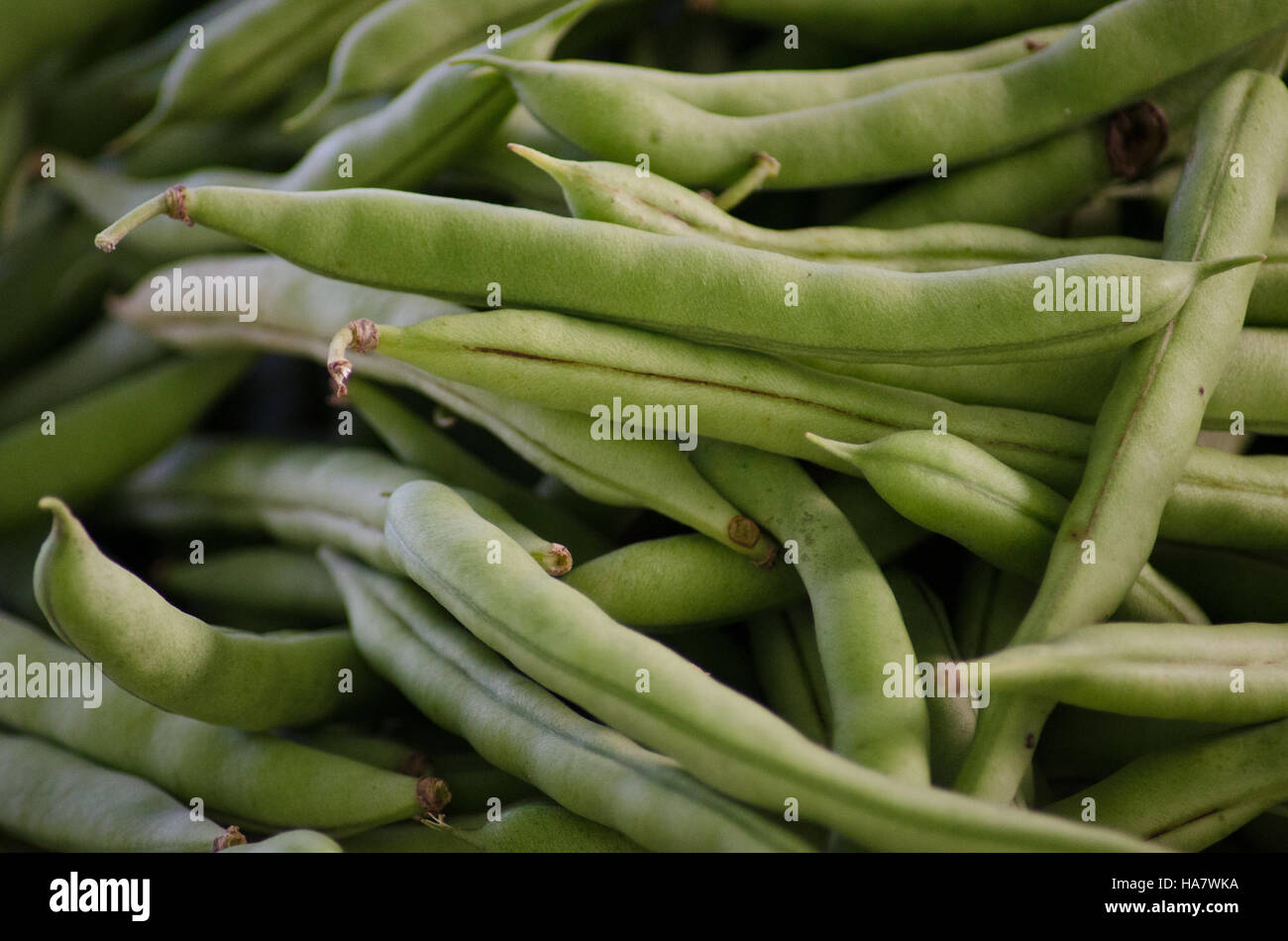 This USDA image highlights initiatives aimed at improving rural ...