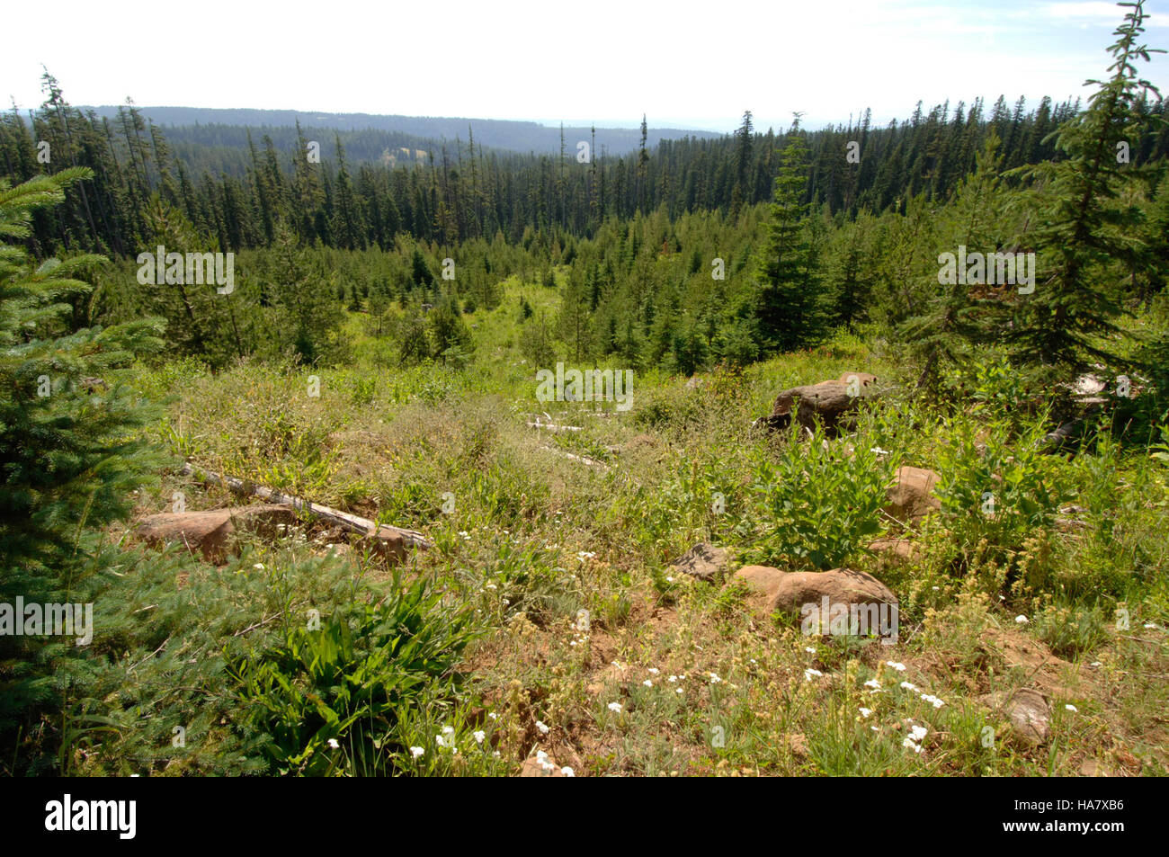 The Forest Service's Soil Field Guide for Oregon's Region 6, part of ...