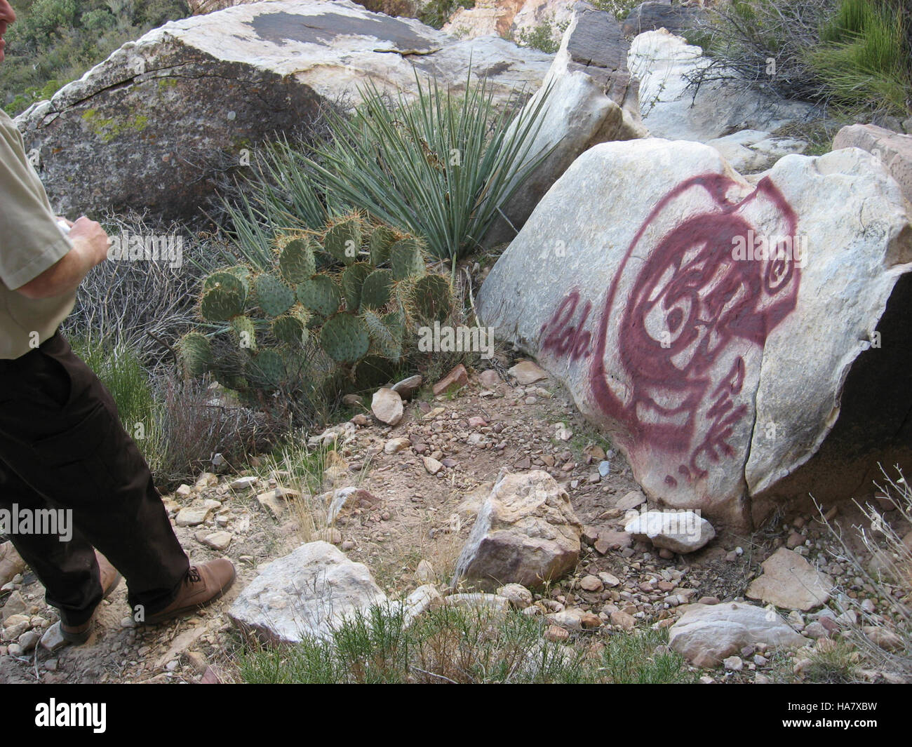 Vandalism at Red Rock Canyon National Conservation Area highlights the ...