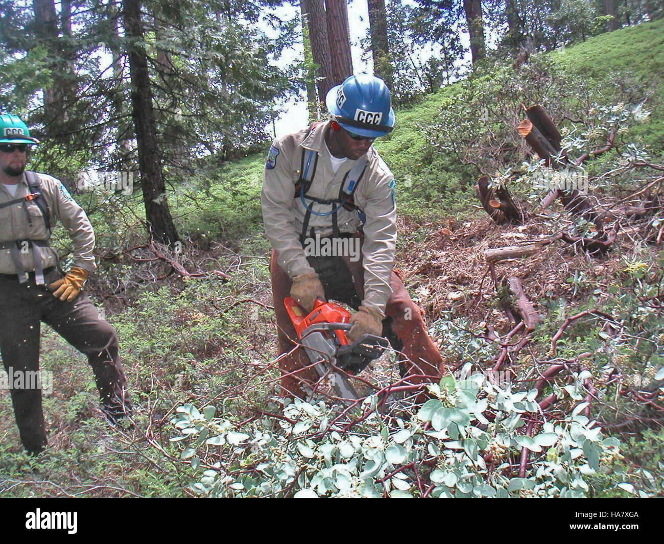The California Conservation Corps (CalConservCorps) works on ...
