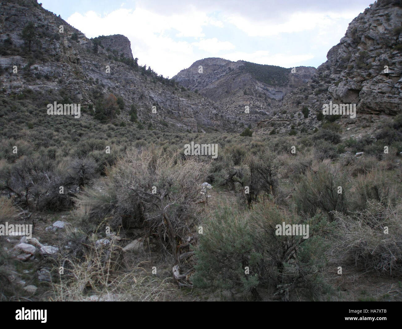 The Mount Moriah Wilderness Area, managed by the BLM, is a remote ...
