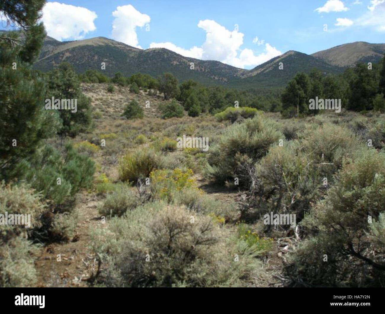 Becky Peak Wilderness, located in Nevada, is a designated area for ...