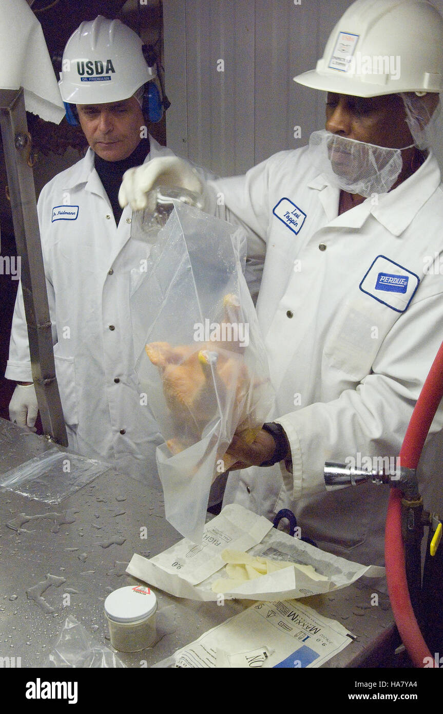 A USDA Food Safety and Inspection Service (FSIS) official inspects ...