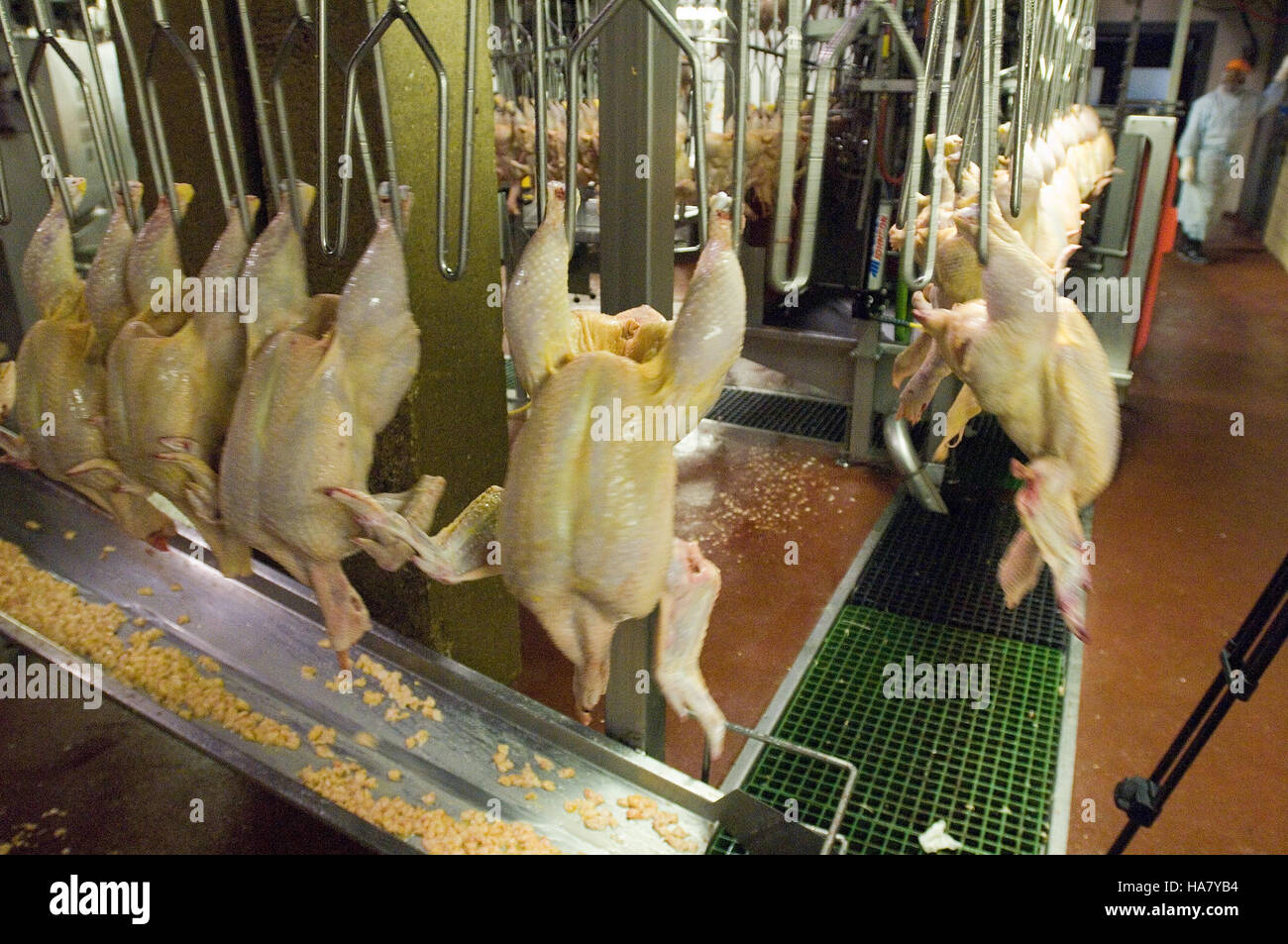 The USDA's Food Safety Inspection Service works to ensure food safety ...
