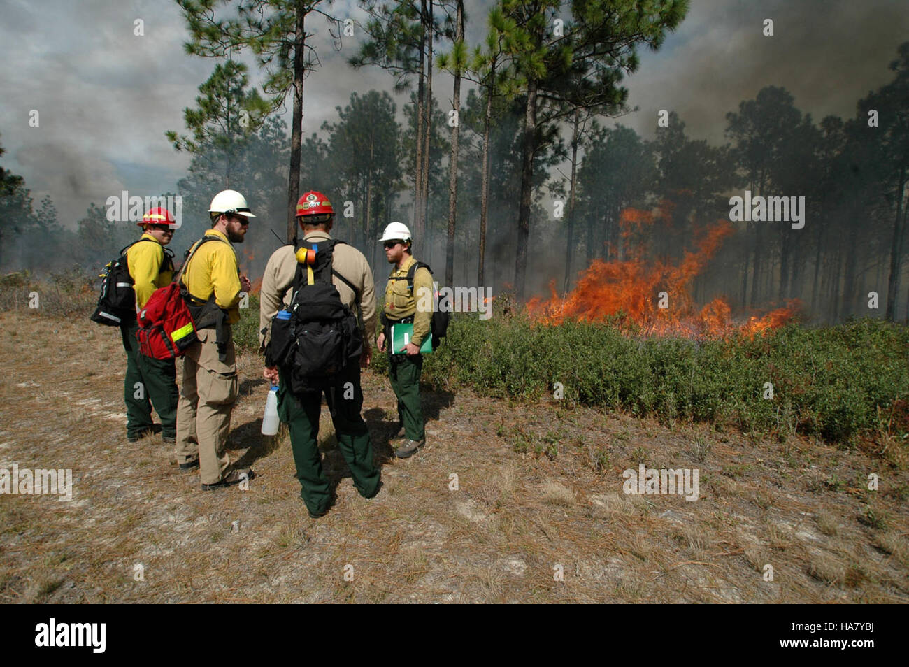 8232 hi-res stock photography and images - Alamy