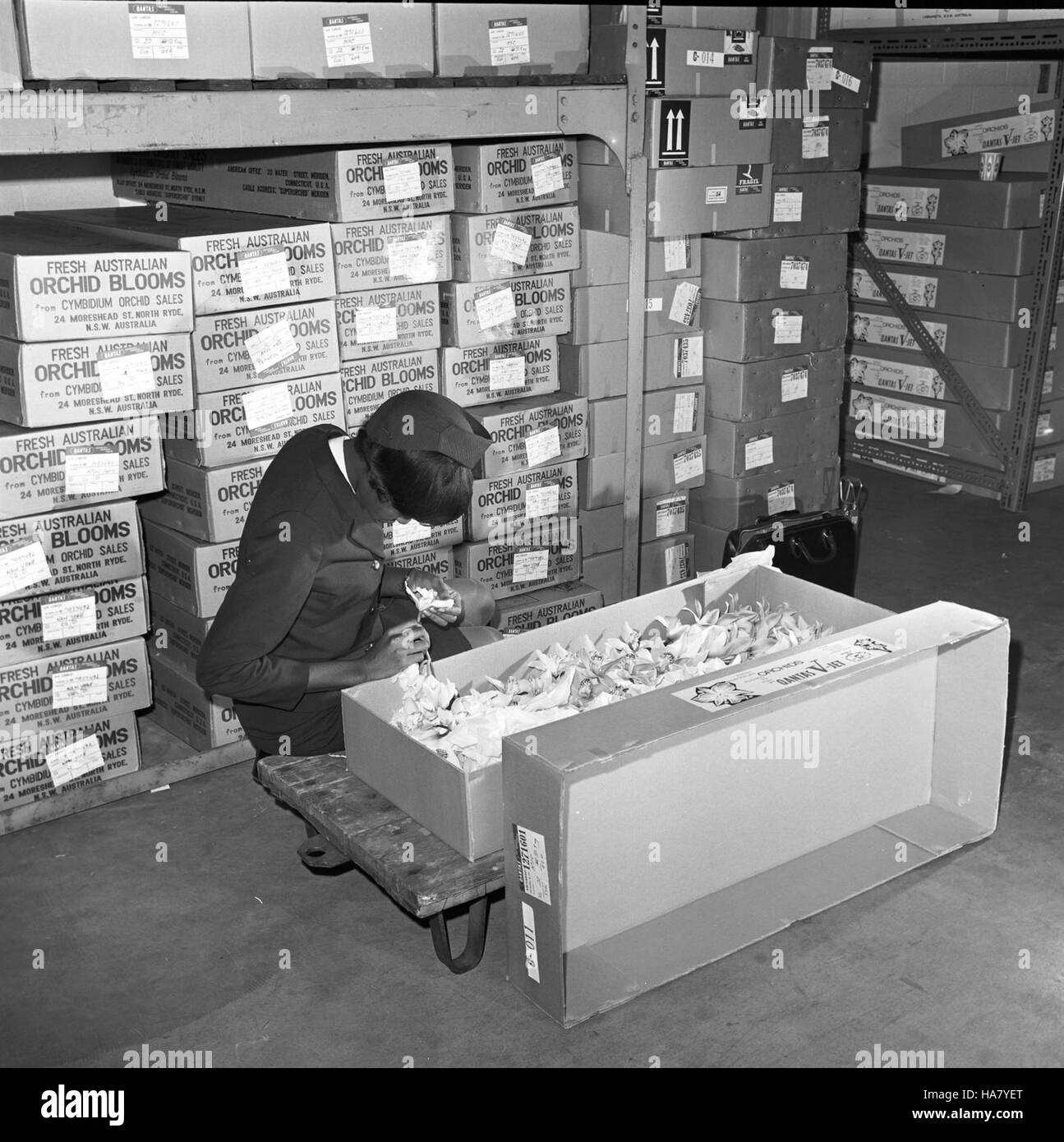 The USDA commemorates its 150th anniversary, celebrating its history of ...