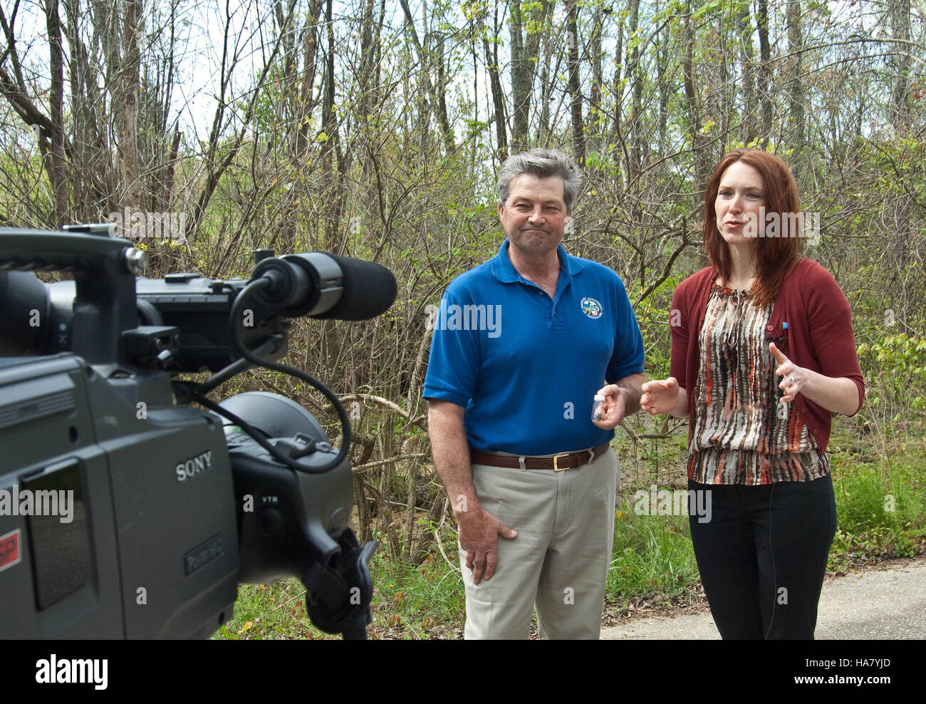 The USDA and MDA officials set an Emerald Ash Borer (EAB) trap as part ...