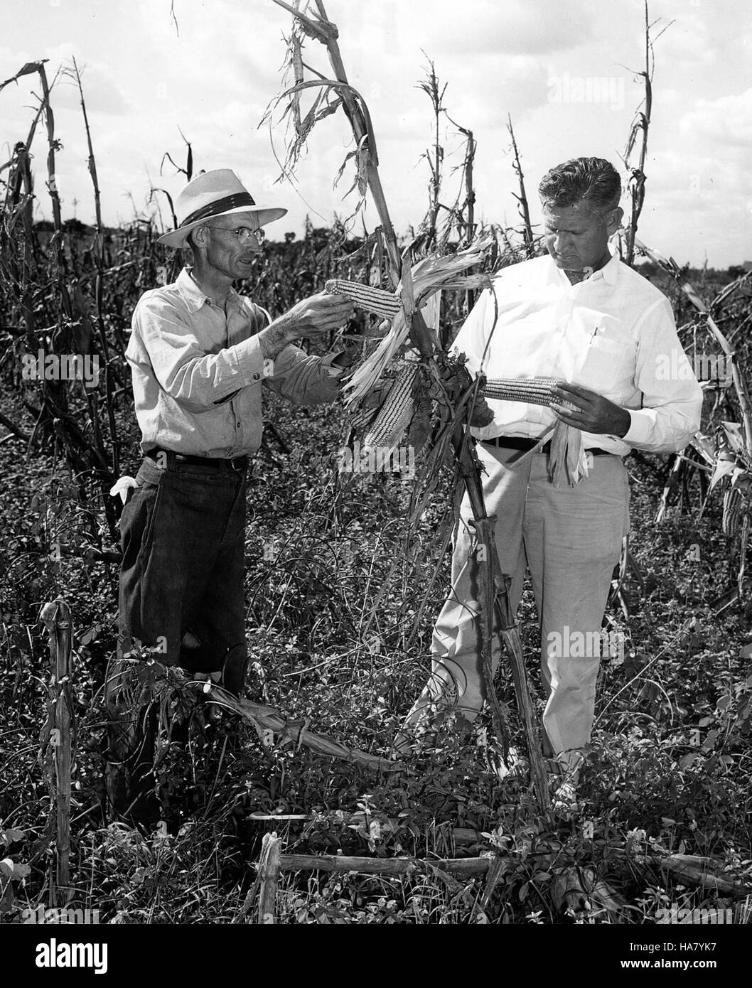 Rural tourism development Black and White Stock Photos & Images - Alamy