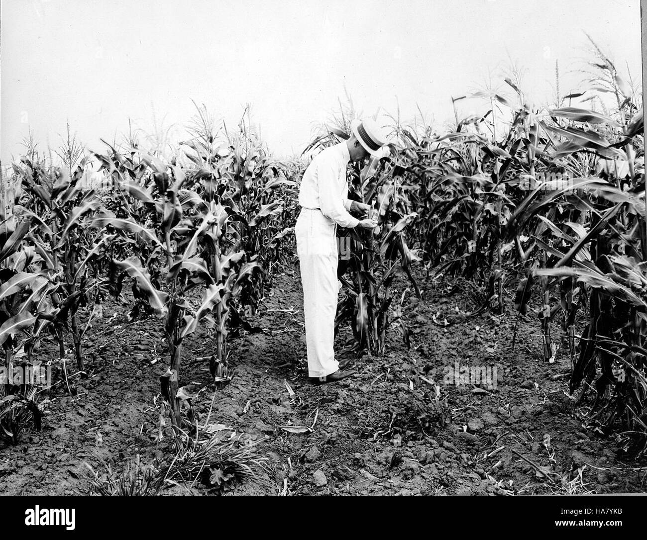 The USDA celebrates its 150th anniversary, marking its long history of ...