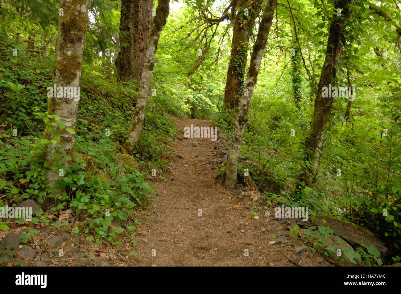 Invasive species oregon hi-res stock photography and images - Alamy