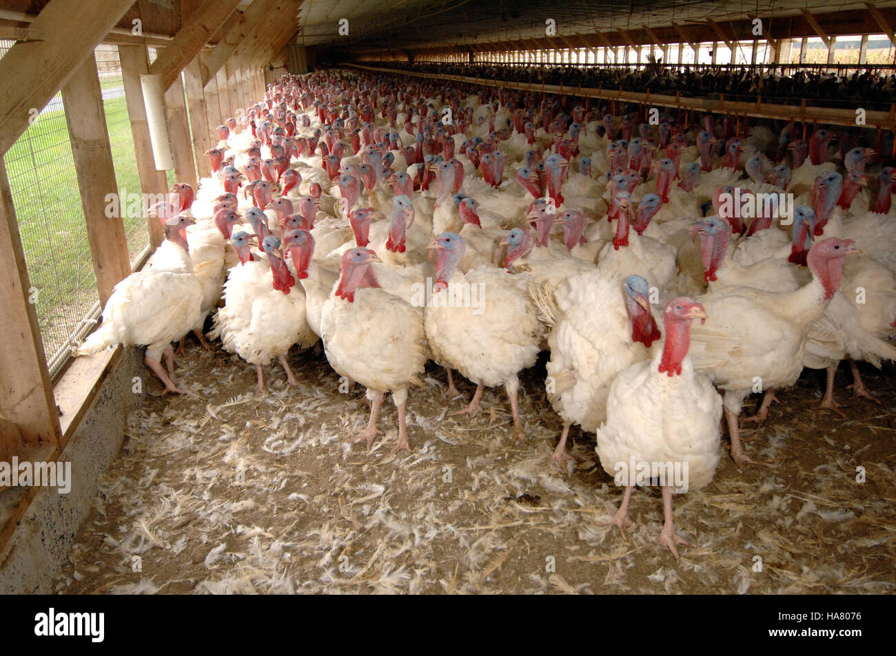 The USDA celebrates its 150th anniversary with events that highlight ...