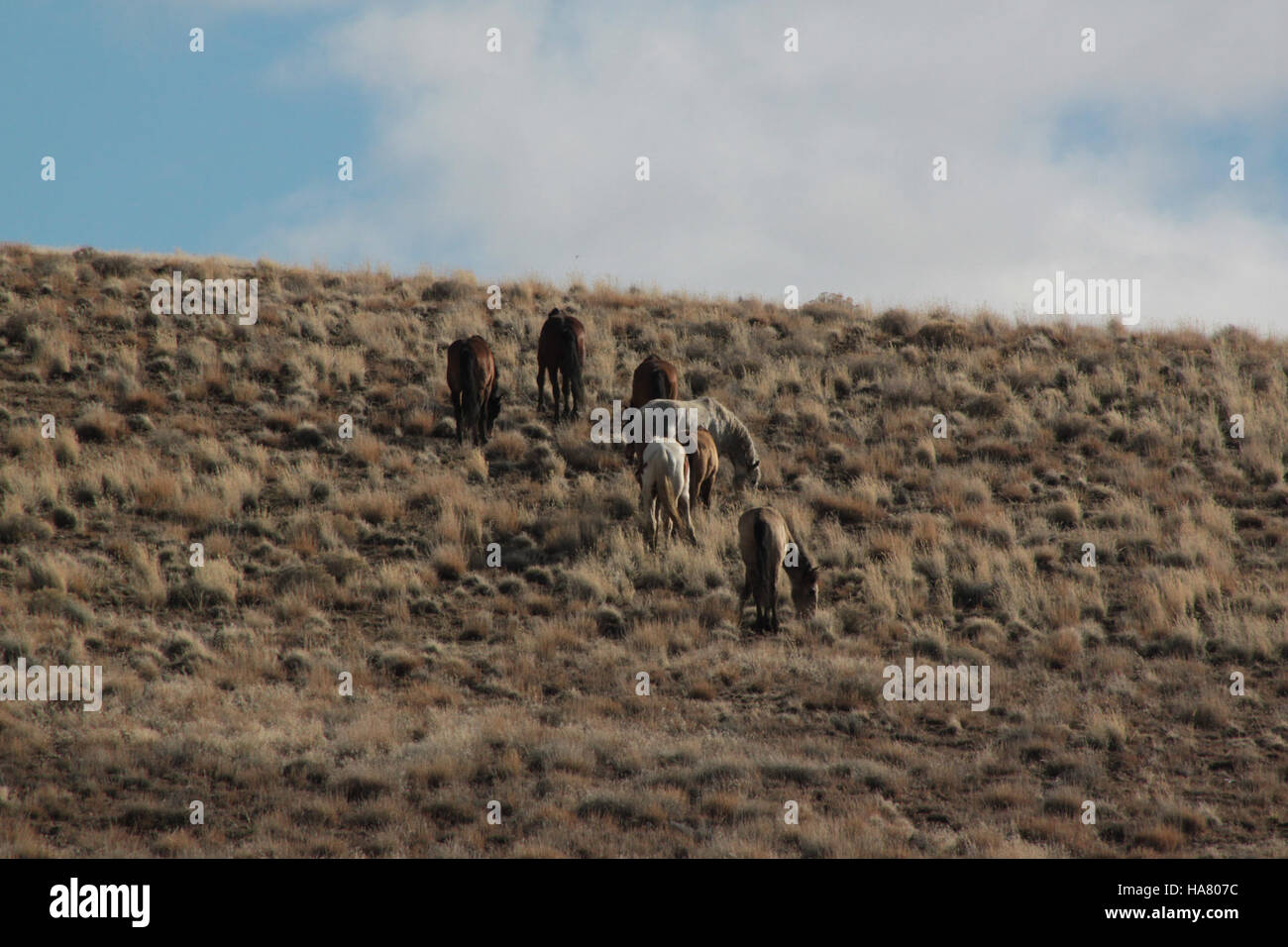 Hillside practices hi-res stock photography and images - Alamy