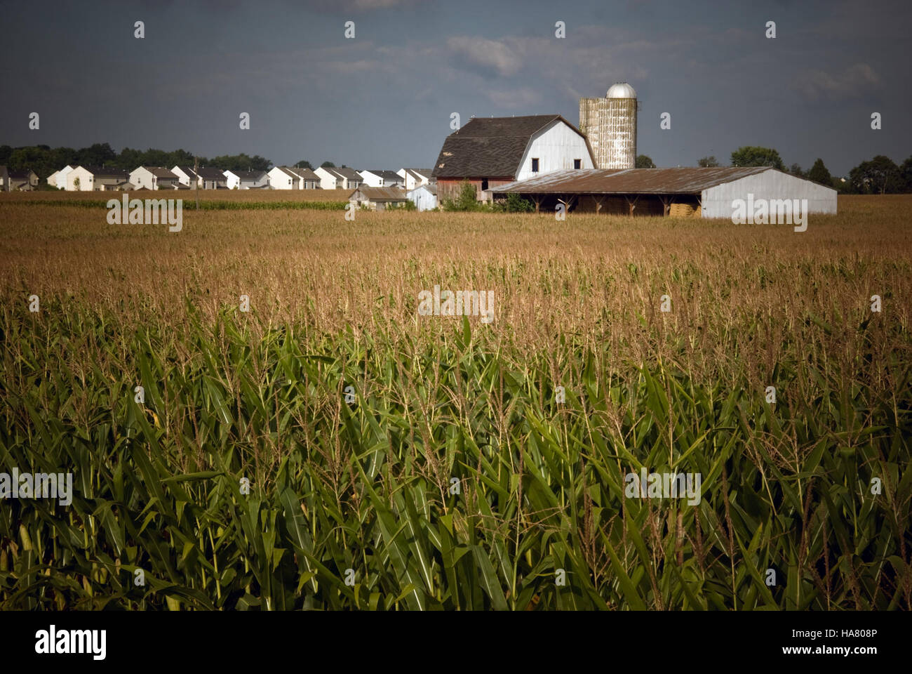 The Chesapeake Bay Watershed project, supported by the USDA, focuses on ...