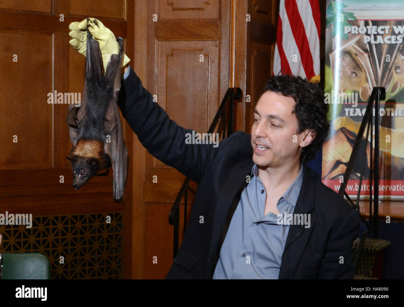 The U.S. Department of Agriculture conducts bat conservation efforts in ...