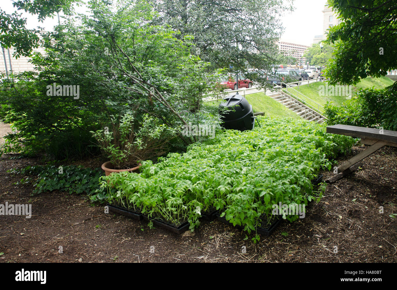 A USDA event showcasing programs that support sustainable agriculture ...
