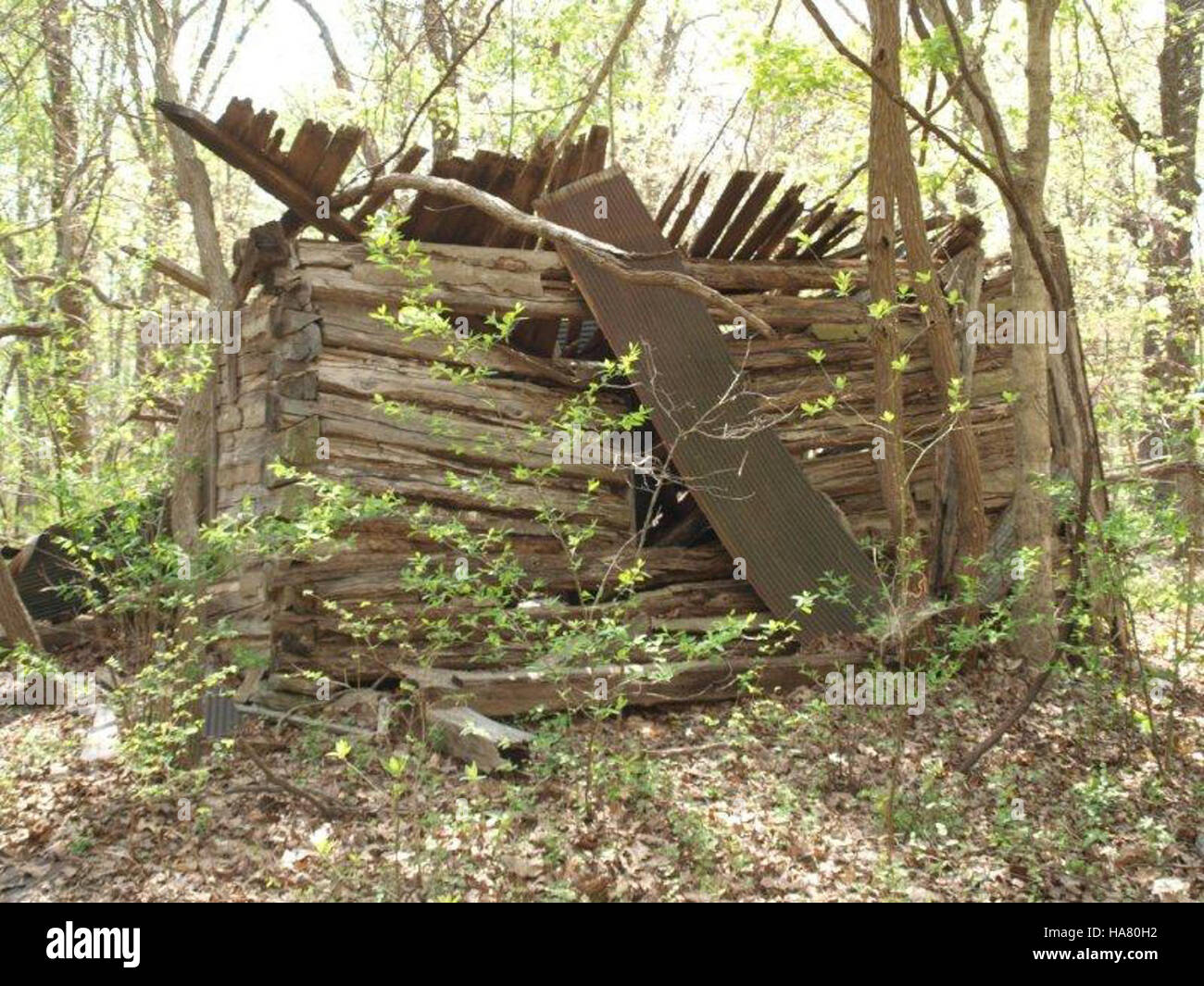 This image highlights USDA initiatives that support sustainable farming ...