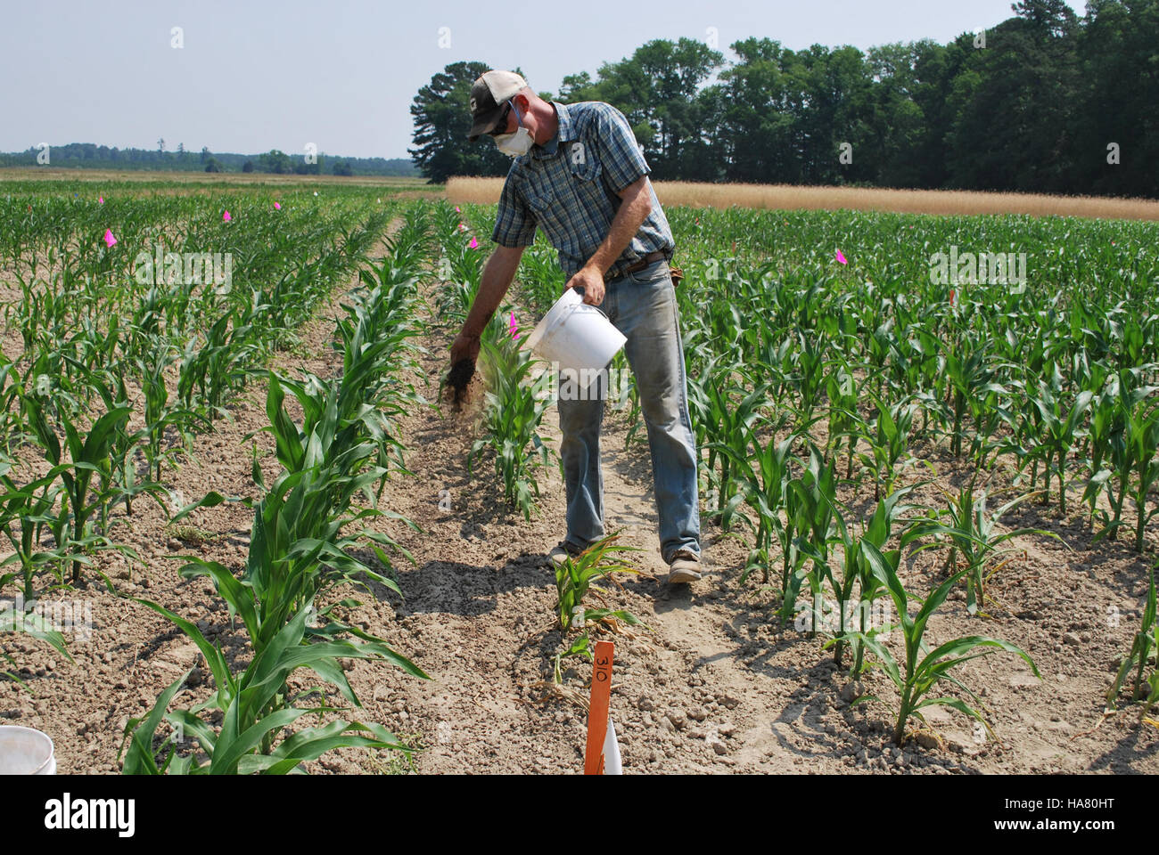 The USDA Agricultural Research Service (ARS) focuses on organic farming ...