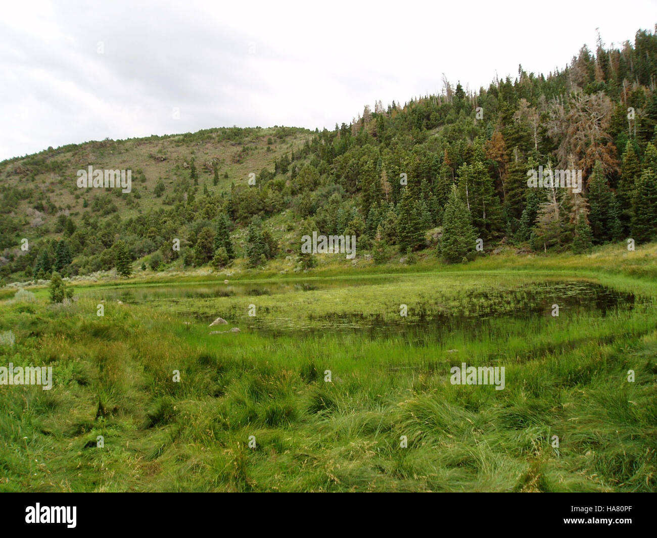 The White Rock Range in Nevada is a protected area within the National ...