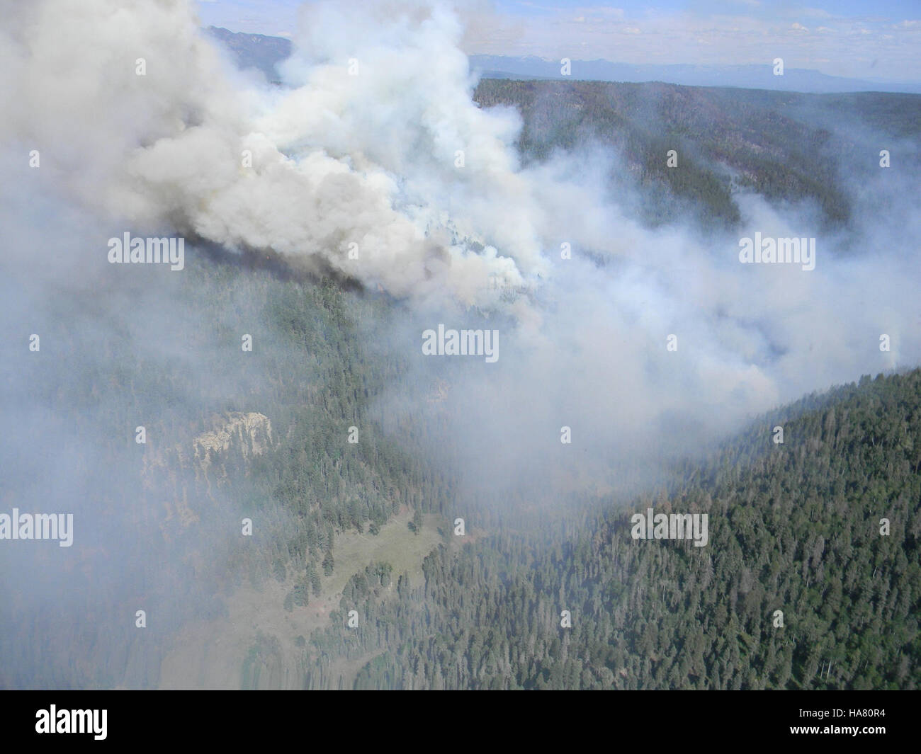 The Colorado Forest Service’s Little Sand wildfire response highlights ...