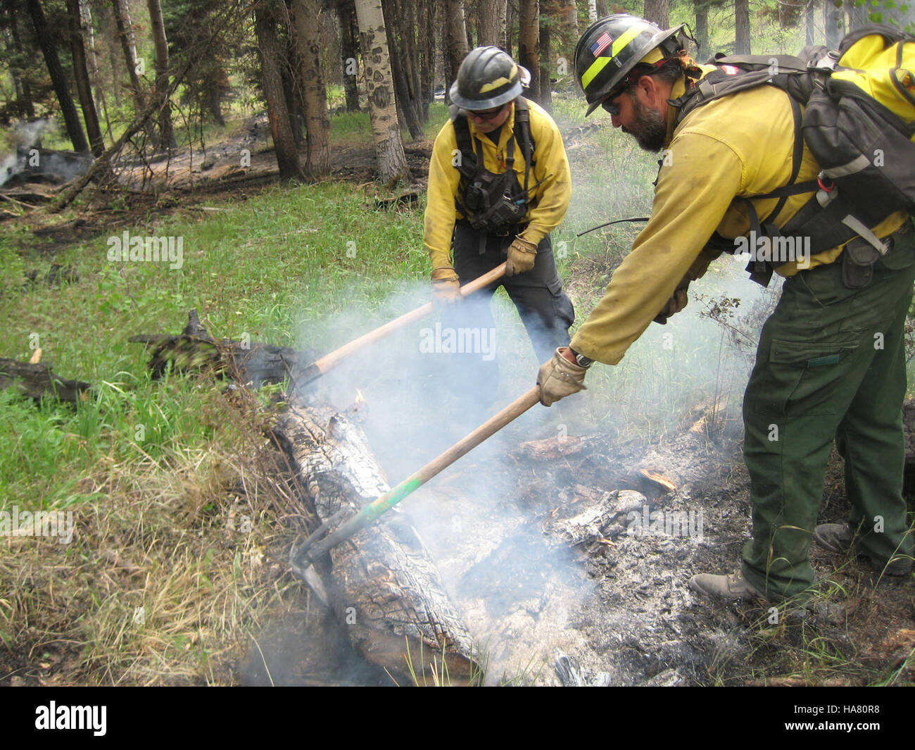 The Colorado State Forest Service monitors the Little Sand Wildfire to ...