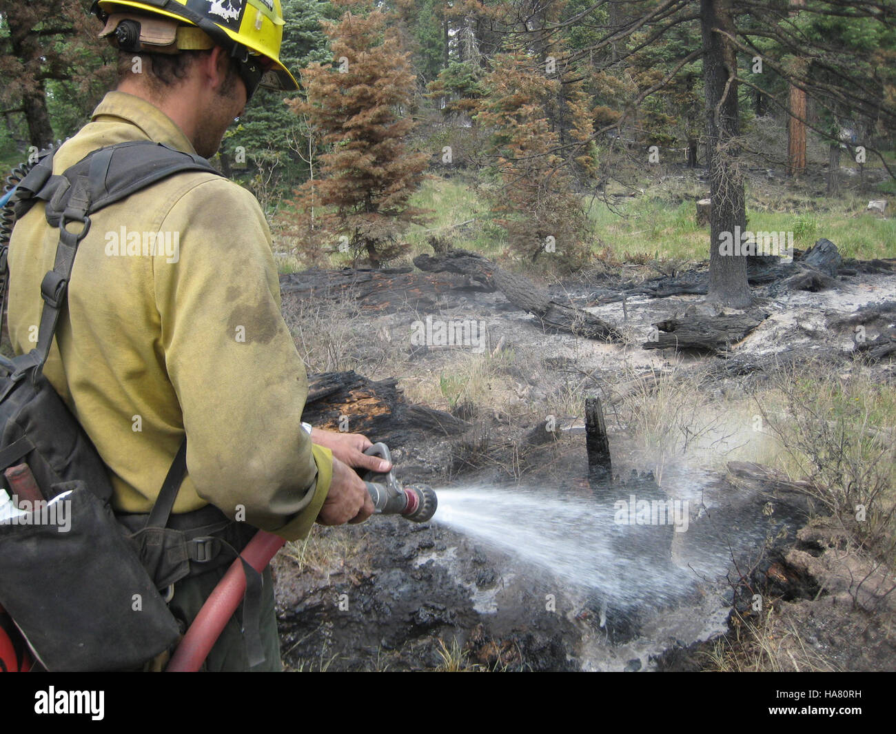The Little Sand wildfire in Colorado, documented by the Colorado Forest ...