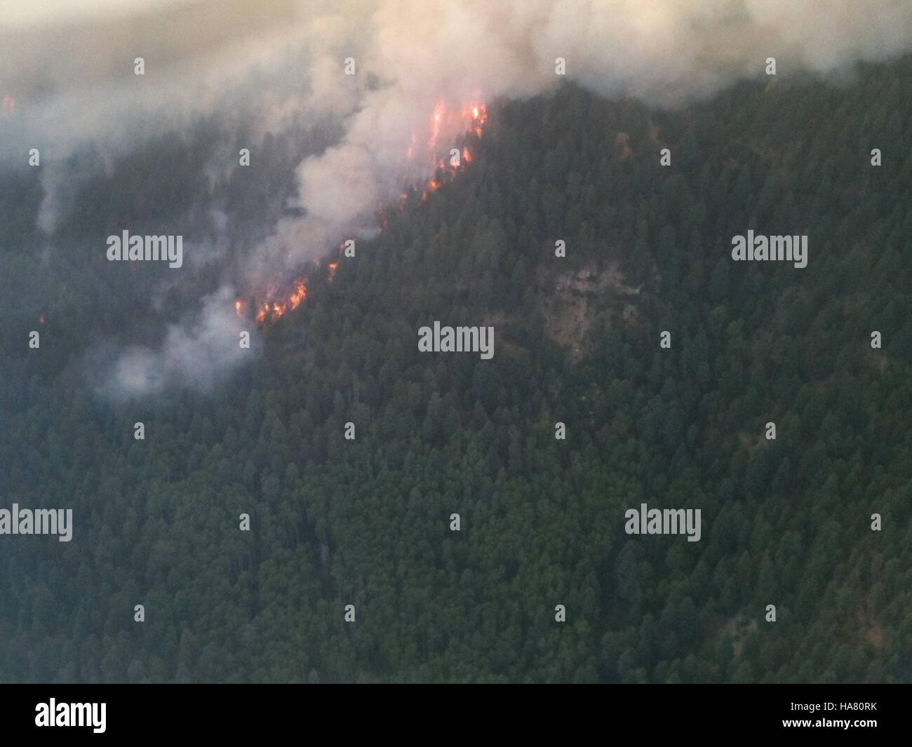 The Little Sand Fire in Colorado, managed by the Forest Service ...