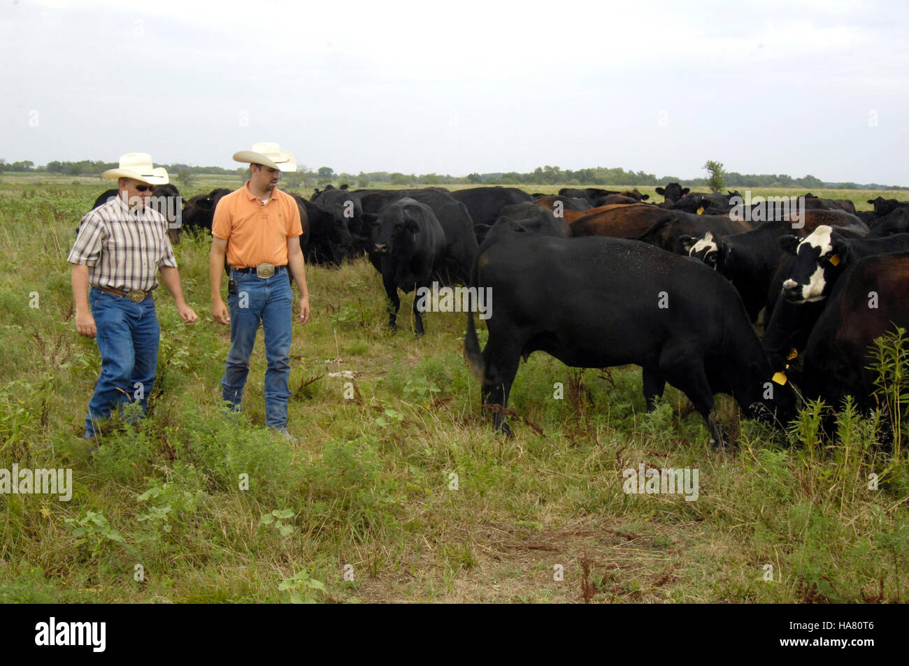The USDA marks its 150th anniversary, reflecting on its role in ...