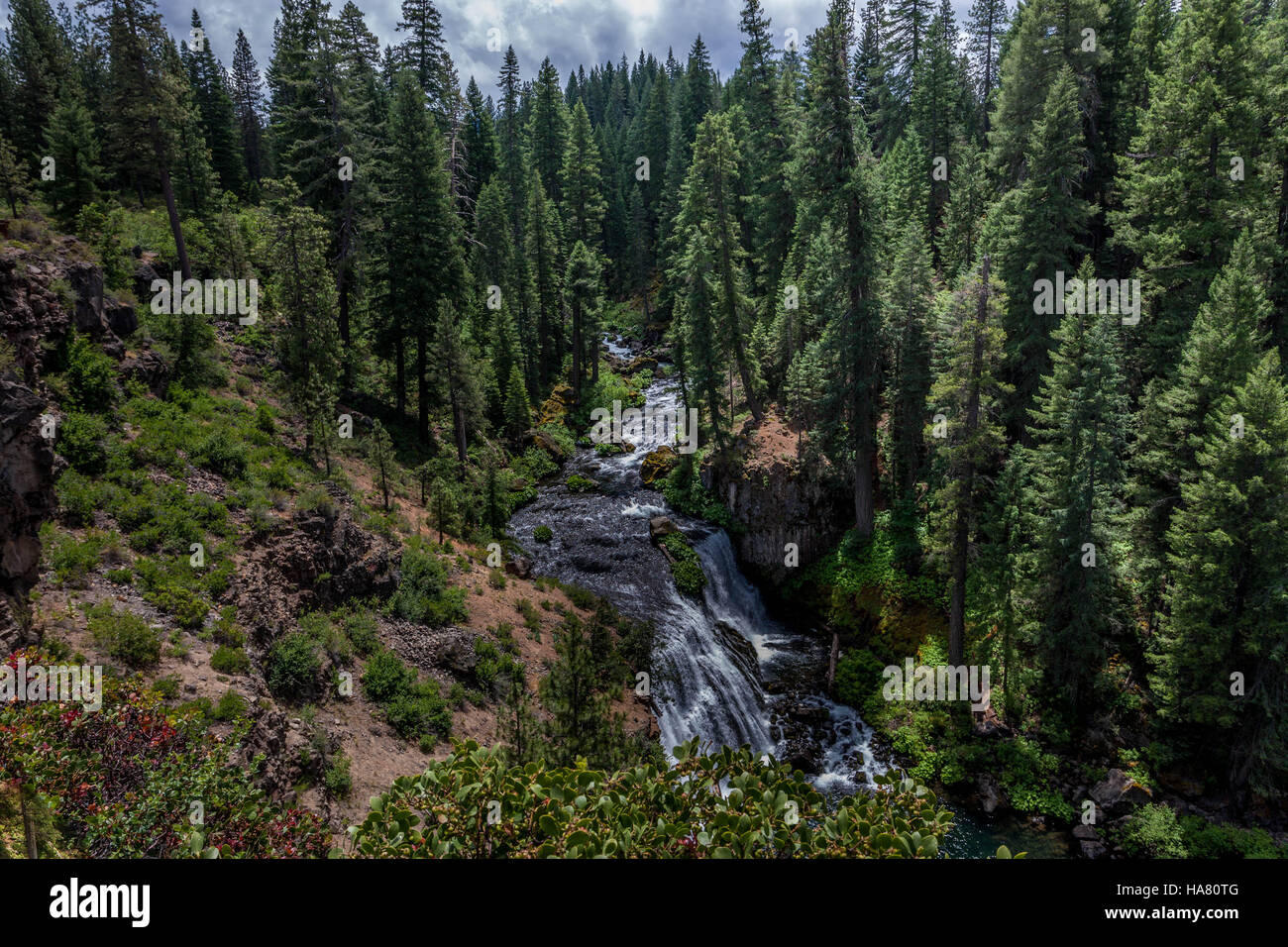Lower falls mccloud river california hi-res stock photography and ... Lower falls mccloud river california hi-res stock photography and ...