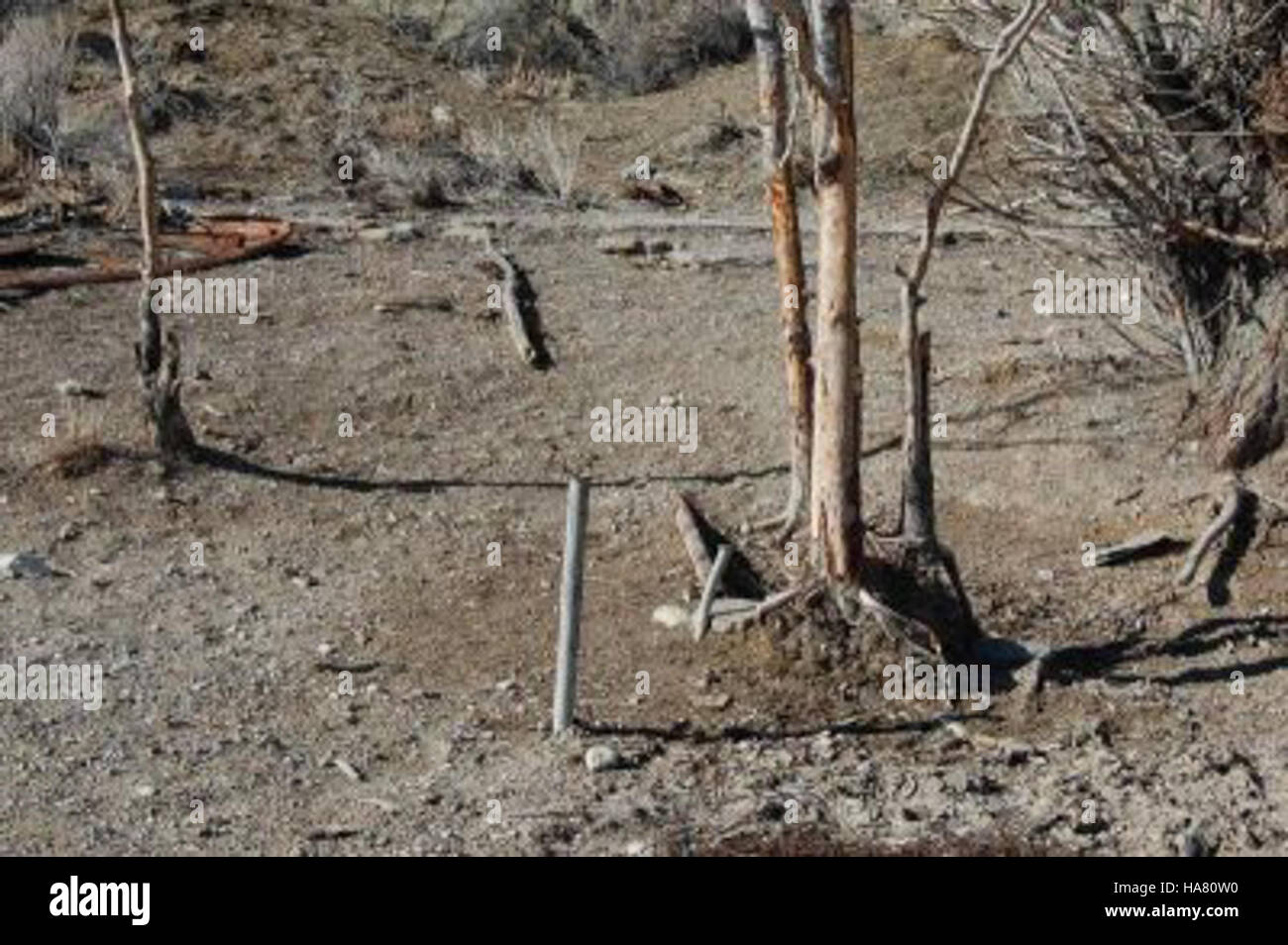 This image highlights the adverse effects of land degradation on ...