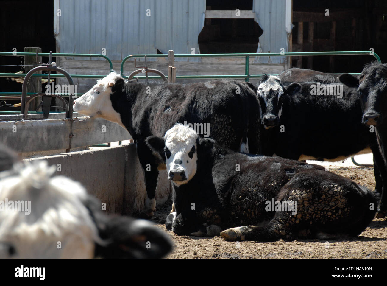 The 150th Anniversary of the USDA marks a significant milestone in ...