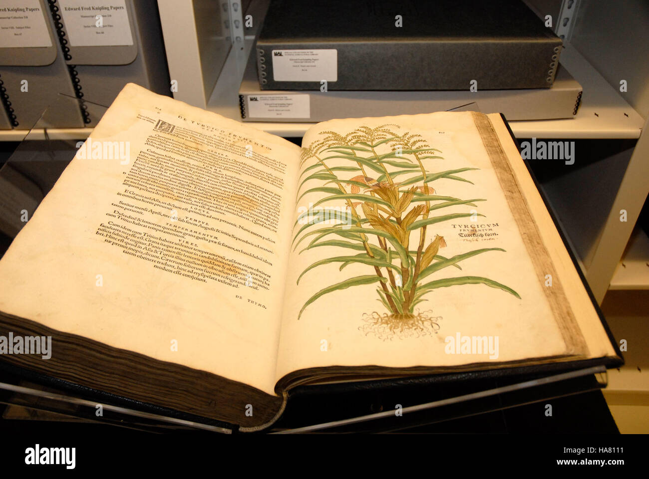 The USDA celebrated its 150th anniversary in 2011, reflecting on its ...