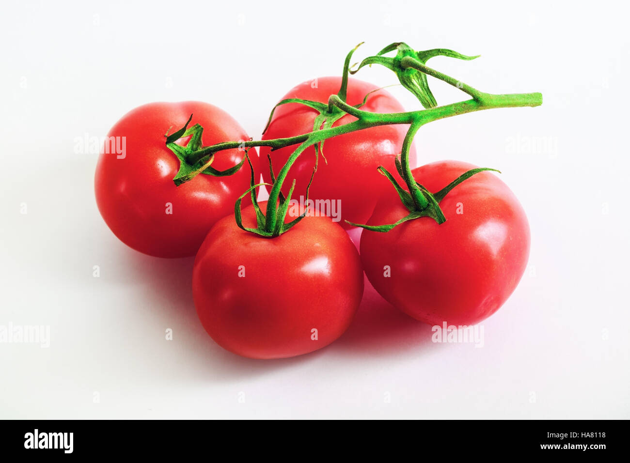 Ripe tasty fresh red tomatoes with a branch Stock Photo - Alamy