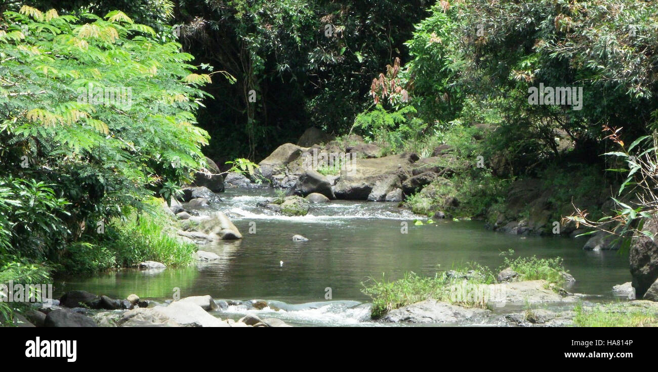 El Yunque National Forest, located in Puerto Rico, is known for its ...