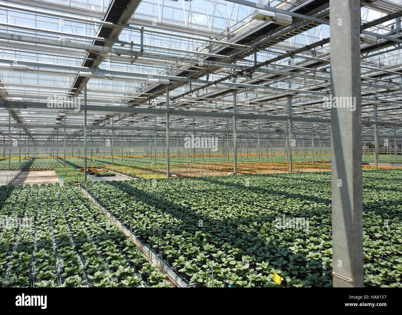 The Metrolina REAP project, led by USDA Secretary Tom Vilsack, focuses ...